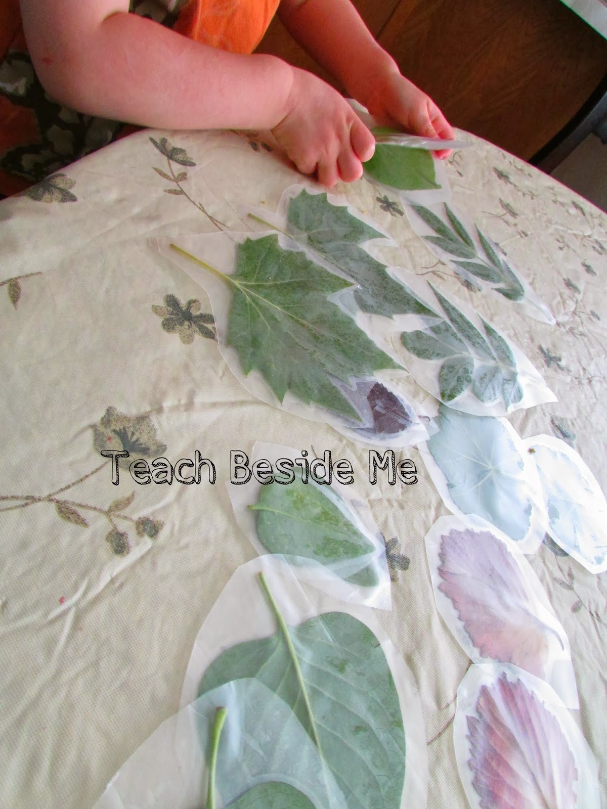 Nature Hunt~ Leaf Matching Game - Teach Beside Me