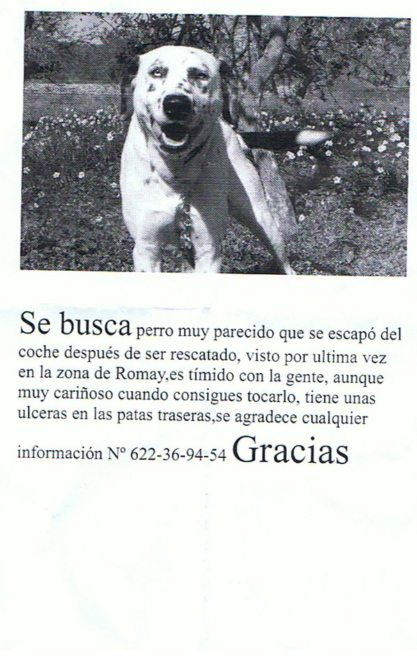 ASOCIACION COORDINADORA PROTECTORAS PROVINCIA PONTEVEDRA: Portas. Se ...