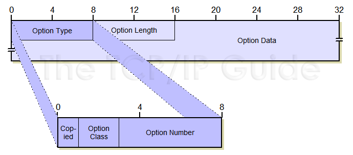 CCIE 400-101: Network Principles - IPv4 Options and IPv6 Extension Headers