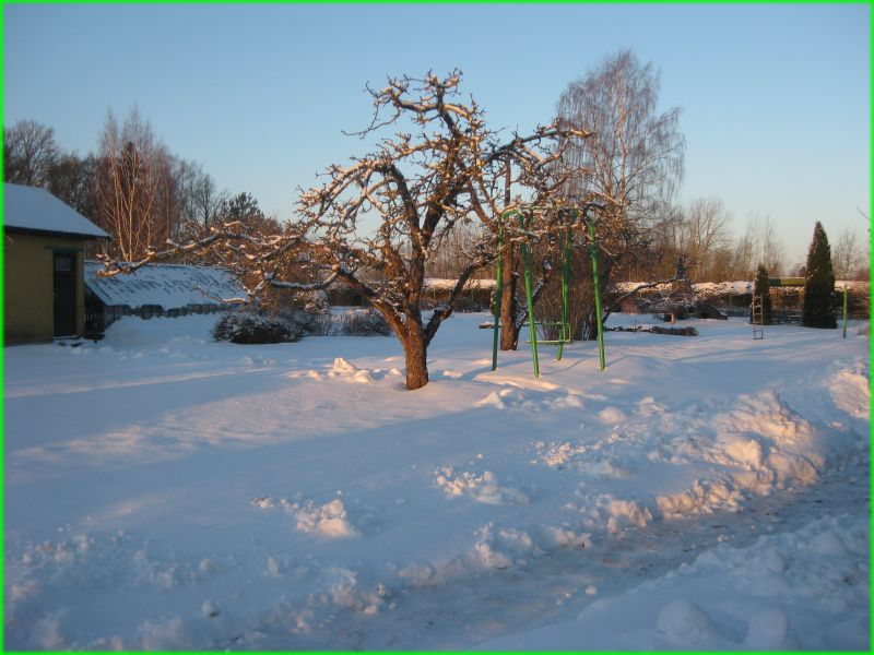 Elu aias: Kas saabus nüüd kevad või tuli talv tagasi?