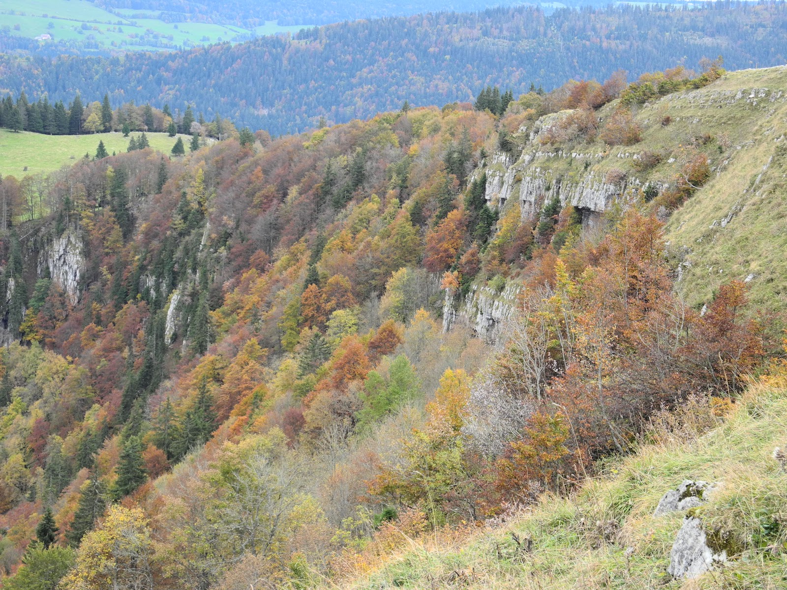 Jura Mountain Rambling: Mont d'Or (No 55)