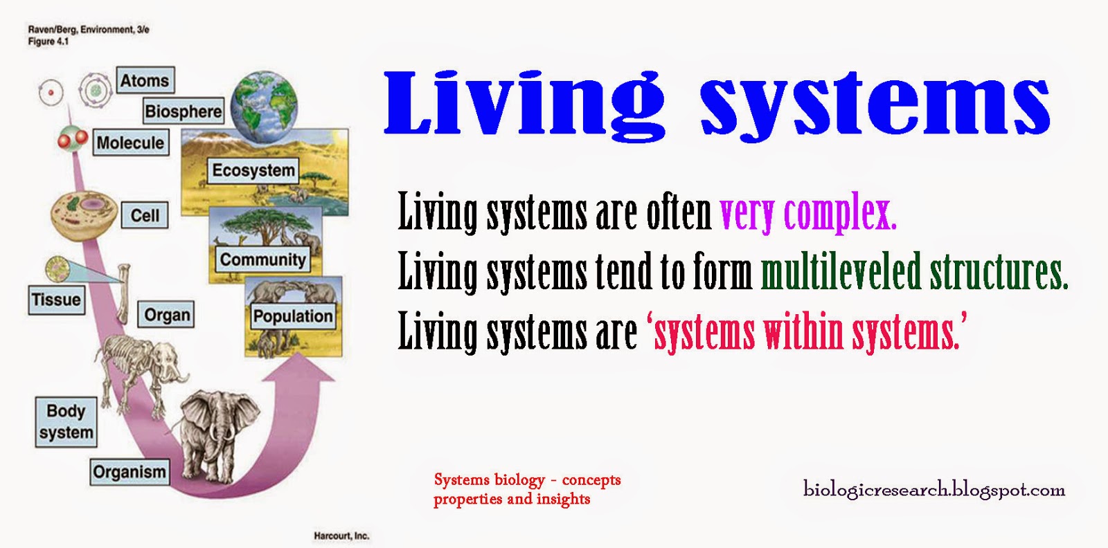 bonvictor bioresearch: Systems Biology - concepts, properties and insights