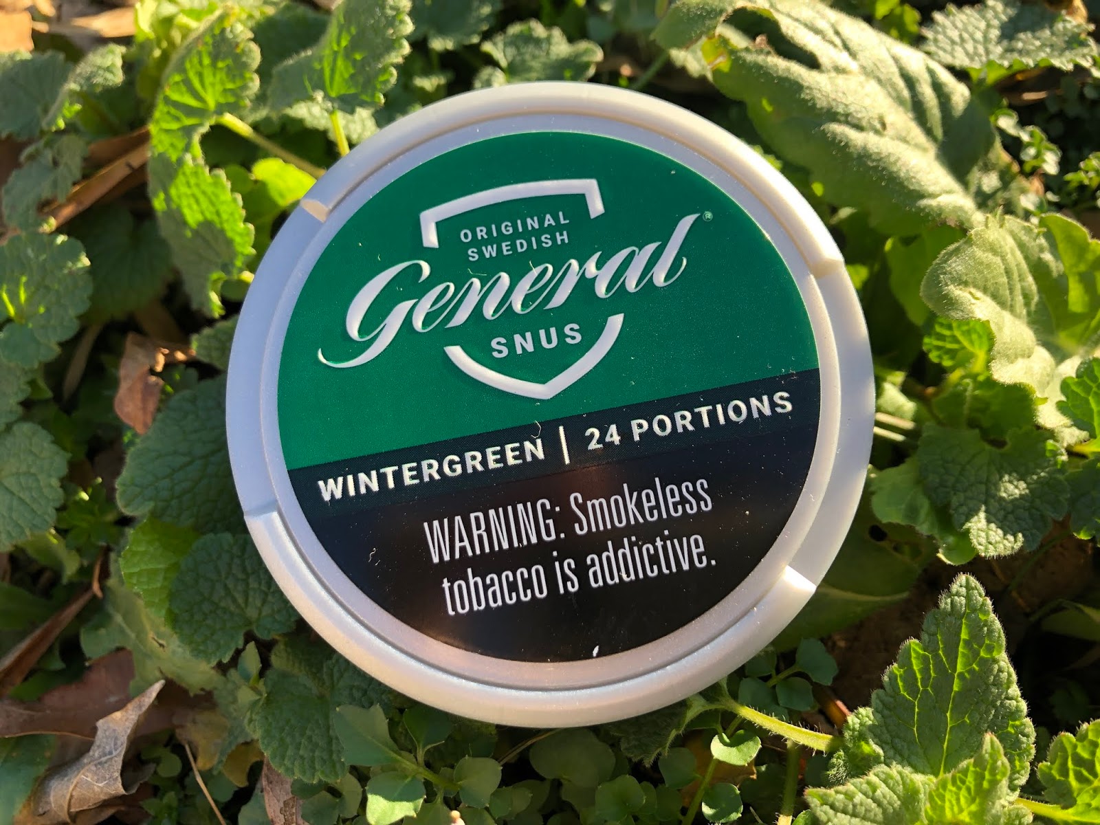 General Snus in America (US vs Swedish) and the Warning Label Myths. 31 ...
