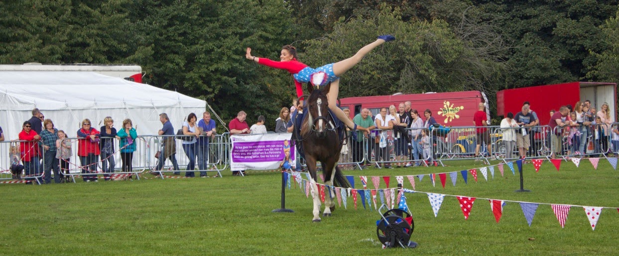Galloping Acrobatics