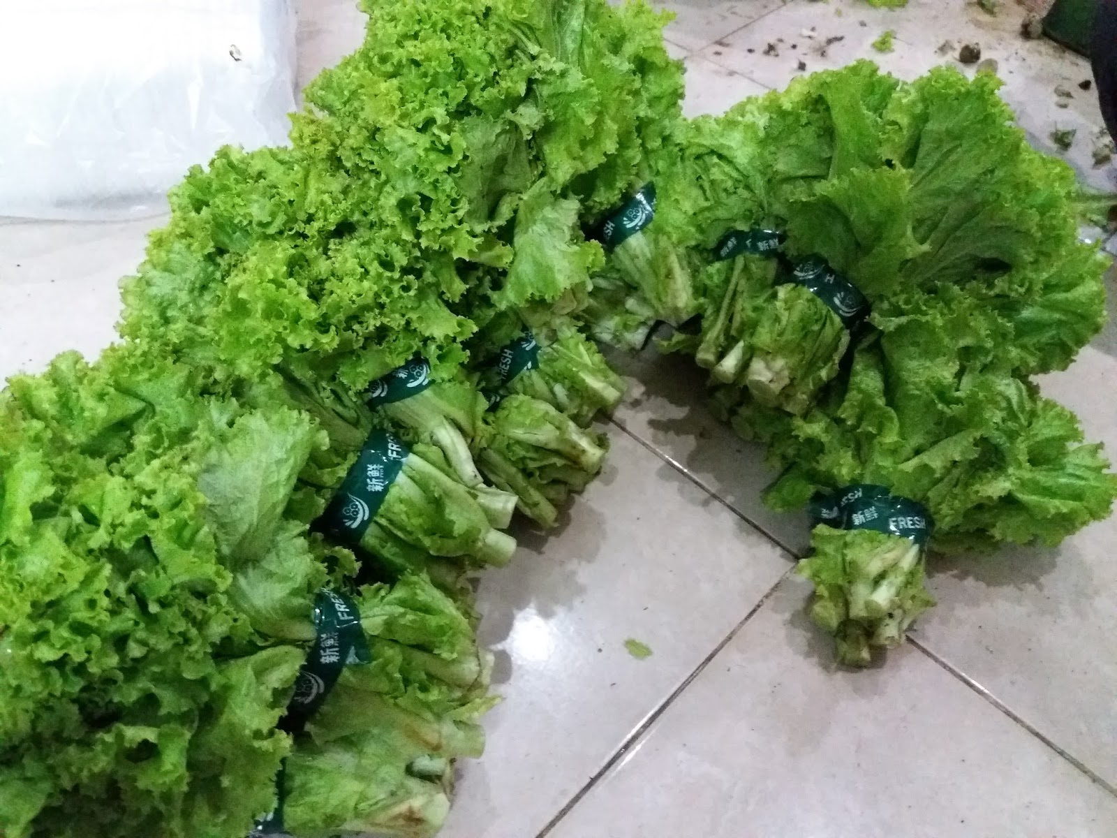 Packaging Sayuran Alim Fresh Fruit And Vegetable | Ihsan Agribisnis