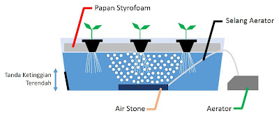 Hidroponik Rakit Apung - Sederhana Tetapi Cocok Untuk Skala Besar