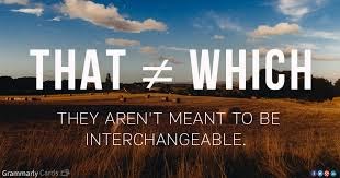 English Grammar Q & A: Which vs. That: How to Choose