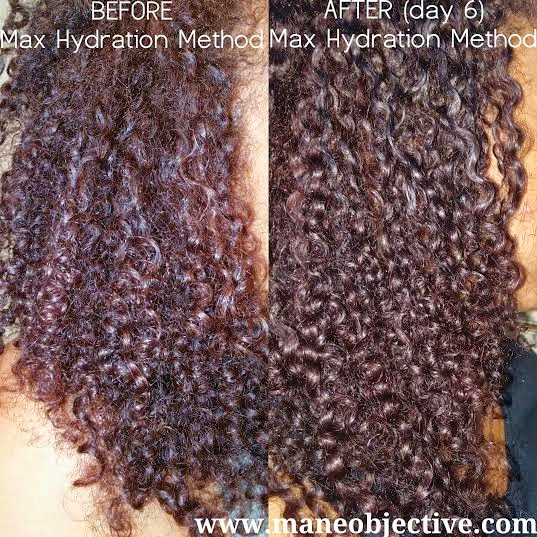 I Tried the Max Hydration Method...and I Liked It! (MHM Recap + Day 7 ...