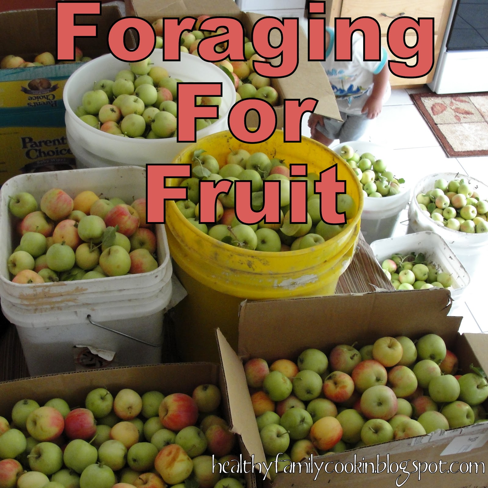 Healthy Family Cookin': Frugal Friday: Foraging for Fruit