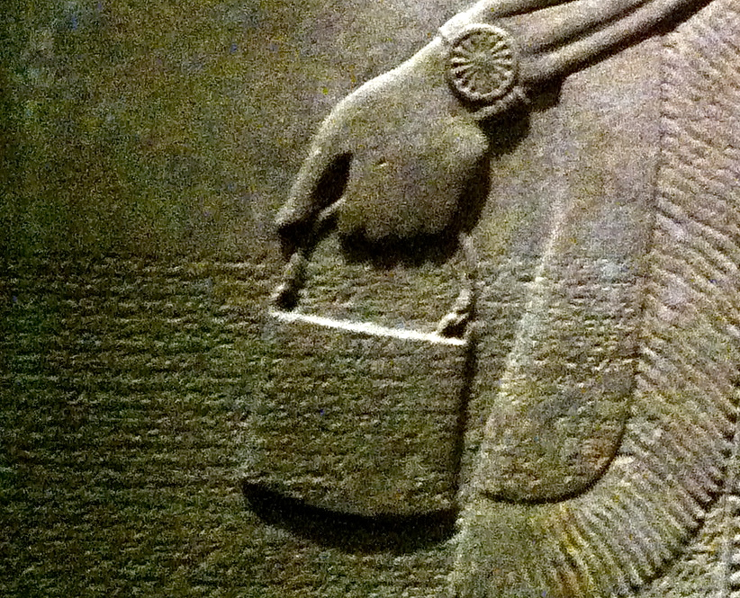 Near Eastern Archaeology: The Mesopotamian Winged Genie