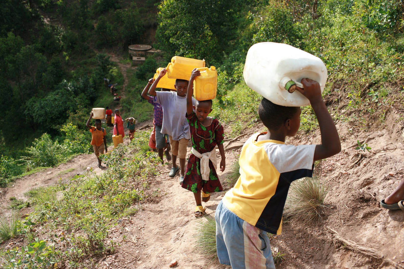 Little Mouse: Dig Well, Carry Water: Exercise as Survival Strategy