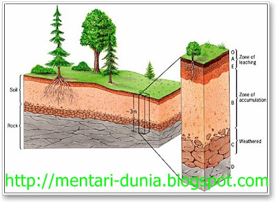 KLASIFIKASI TANAH - Budidaya Pertanian