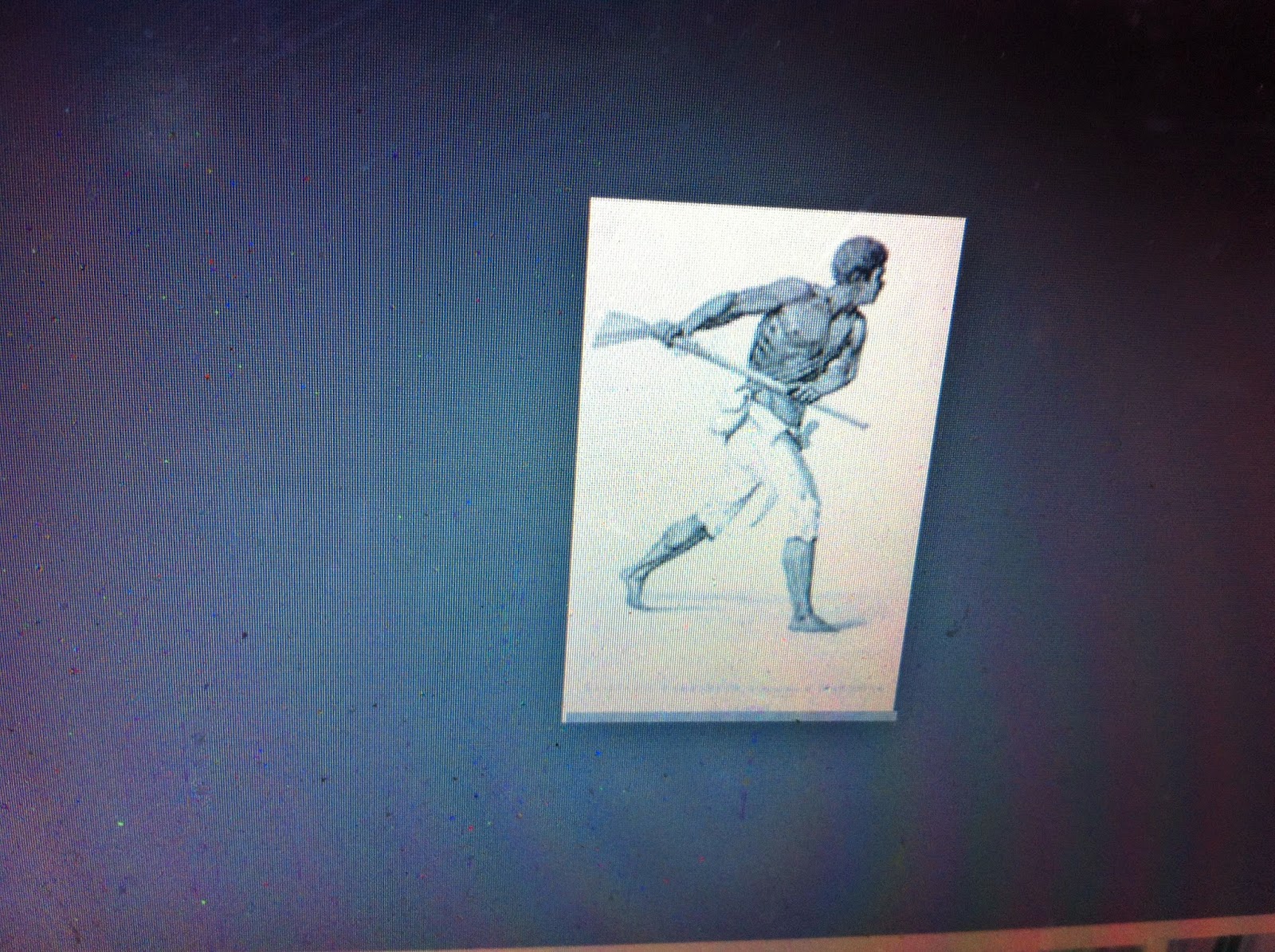 THE BLACK SOCIAL HISTORY:: BLACK SOCIAL HISTORY : THE TACKY'S WAR OR ...