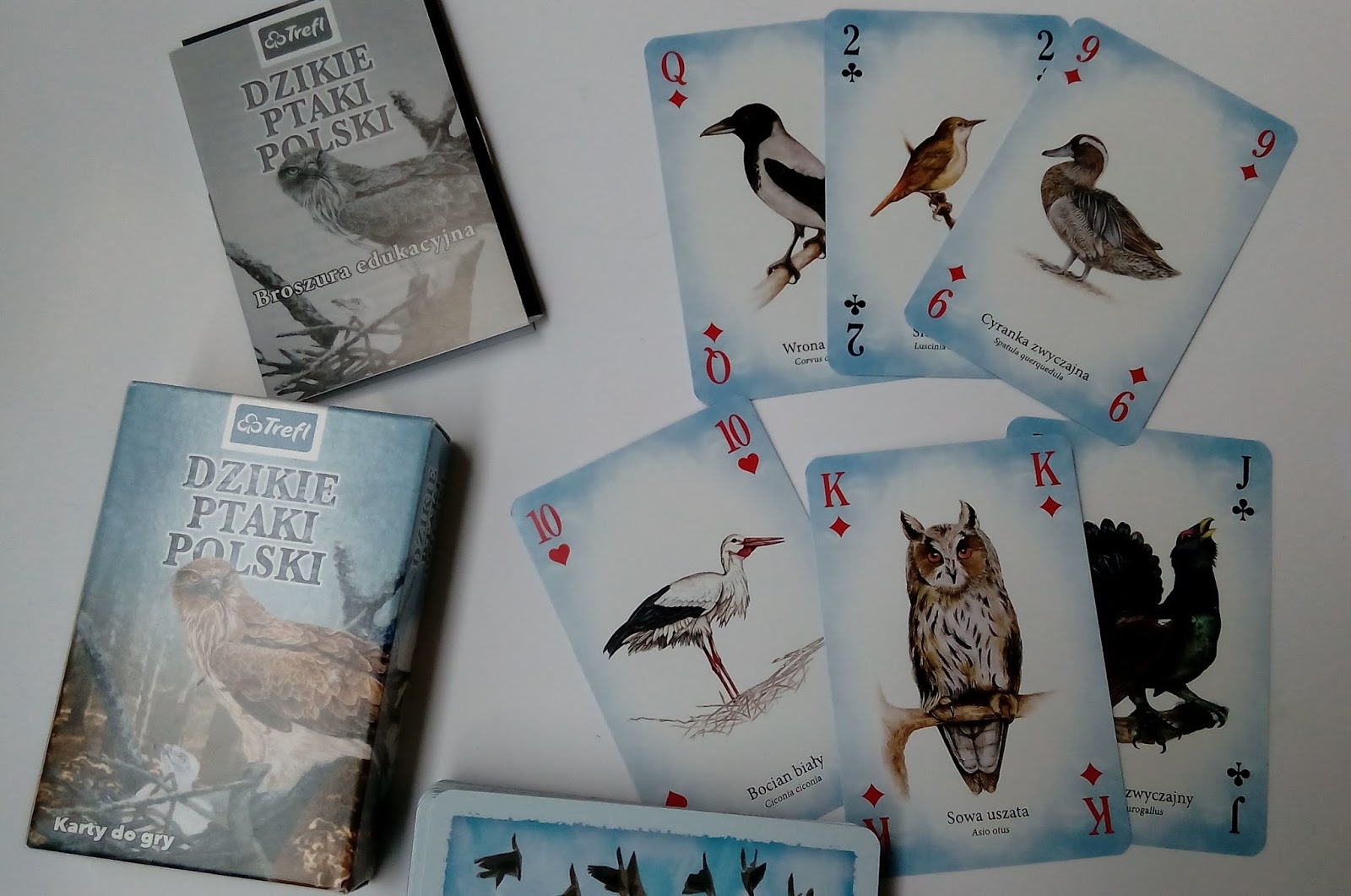 Mama do Sześcianu: Tematyczne karty do gry Trefl