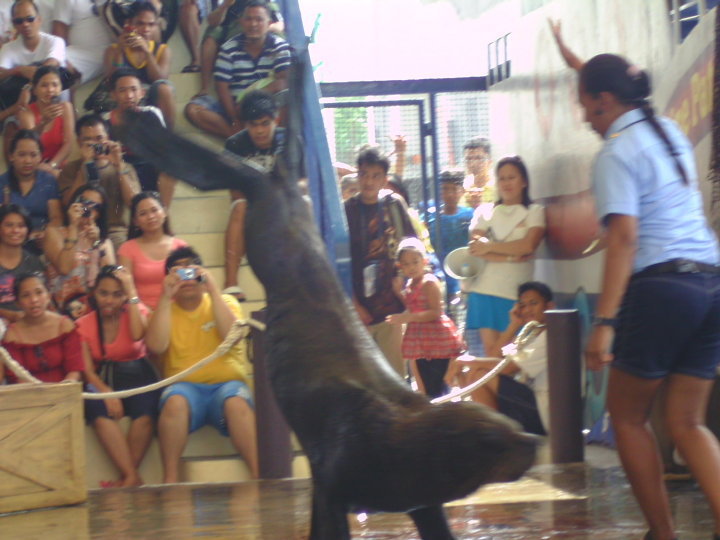 My Gala Mode: OCEAN ADVENTURE TRIP IN SUBIC