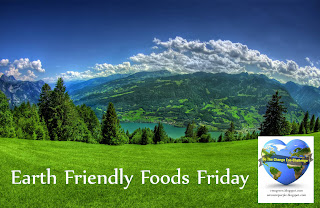 The Real Meaning of GREEN: Earth Friendly Foods Friday - Eco-Challenge