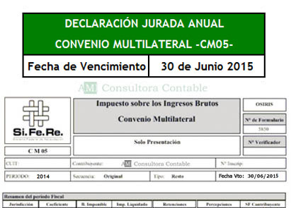 Declaración Jurada Anual Convenio Multilateral | AMI Consultora Contable