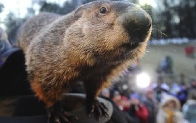 My Morning Cup: February...Groundhog's Day...Iowa Caucus...Oregon ...