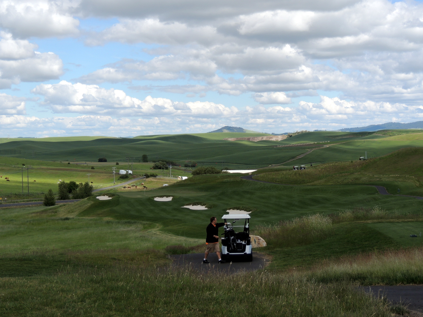 Golf in the 70's: 27 of 70: Palouse Ridge Golf Club, Pullman WA