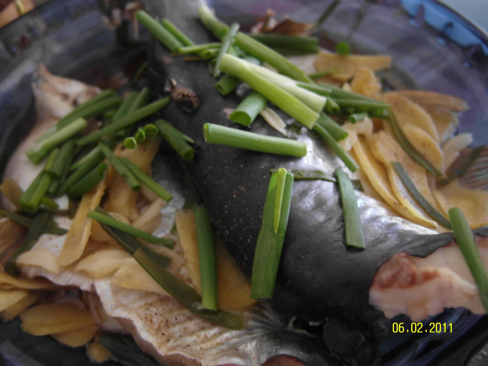 Steam River Patin Fish with Superior Soy Sauce | THE DOTTED LINES