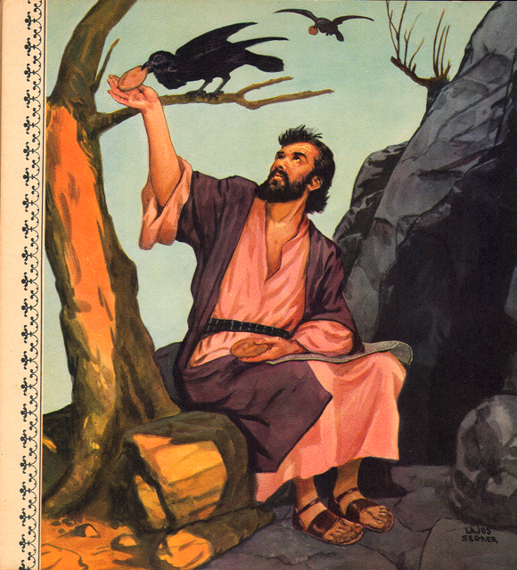 Holy Crocodile!: Ravens to the Rescue!