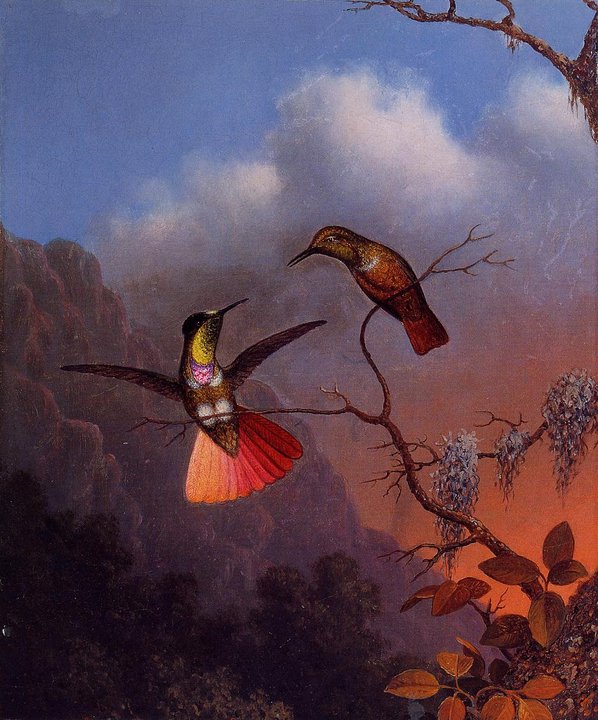 Maher Art Gallery: Martin Johnson Heade 1819-1904