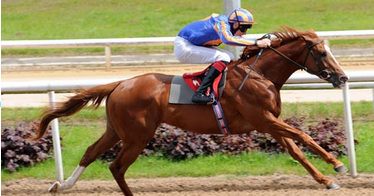 Saranno Famosi: Mars...di un altro pianeta? Un mezzo fratello di ...