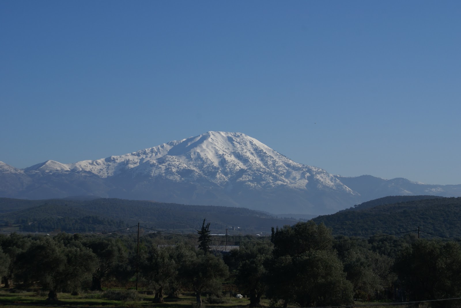 ΨΑΧΝΑ ΕΥΒΟΙΑΣ - παραδόσεις, ήθη, έθιμα της Μεσσαπίας: ΒΟΥΝΑ ΤΗΣ ΕΥΒΟΙΑΣ ...