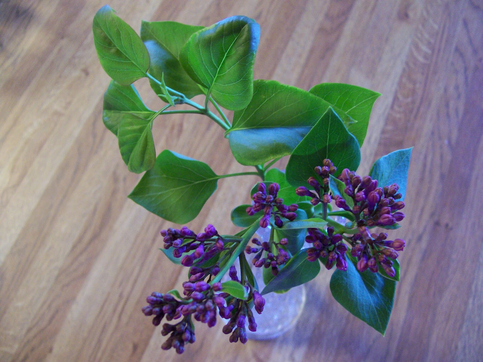 Intuitive Value: Getting Busy in Autumn