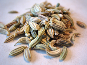 SIMPLISIA FARMAKOGNOSI LENGKAP: FRUCTUS