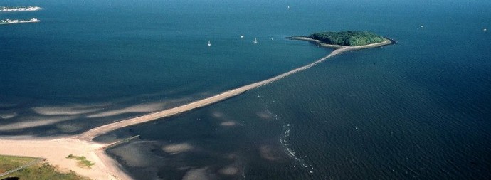 Charles Island Y-Tri