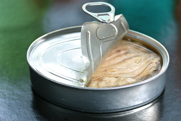 How to Purchase a Good Tuna Fish Tin Can? - Frozen Tuna Fish, Frozen ...