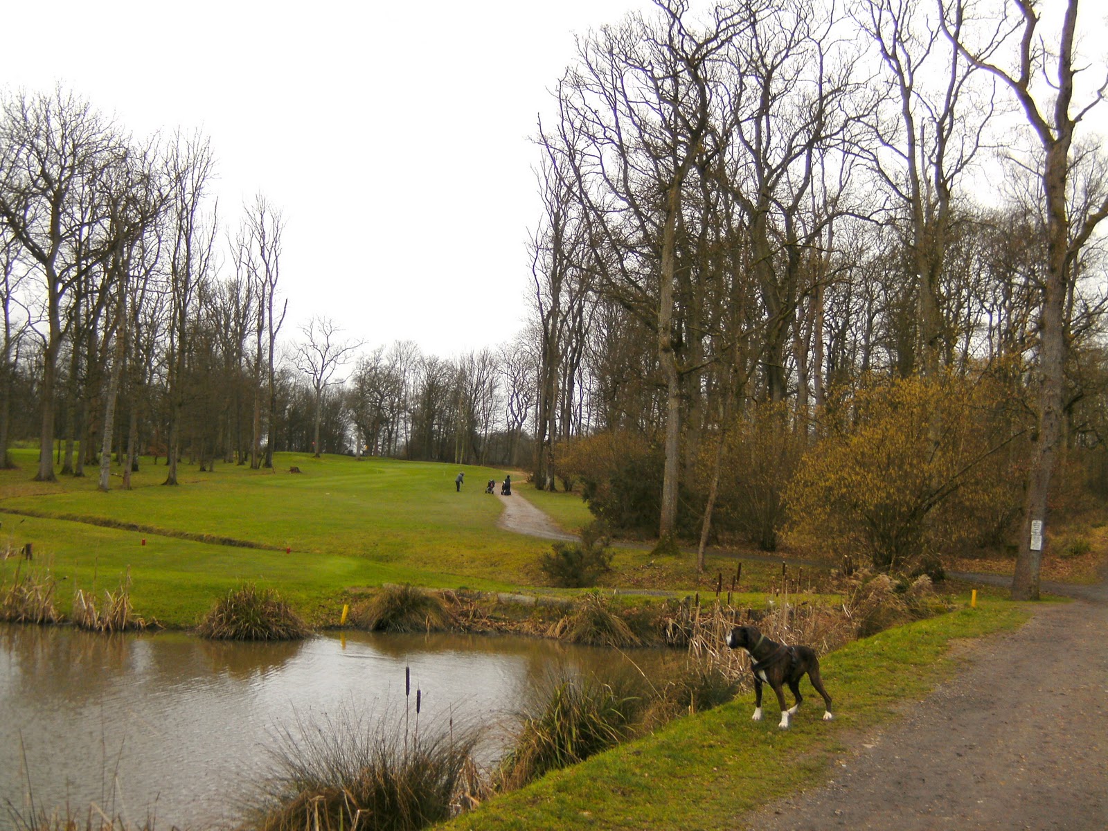 Sussex Border Path: Stage 13 - Charlwood to the Royal Oak pub, nr ...