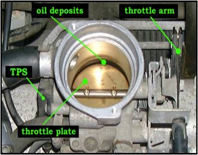 UN MUNDO DEL SENSOR AUTOMOTRIZ: SENSOR TPS