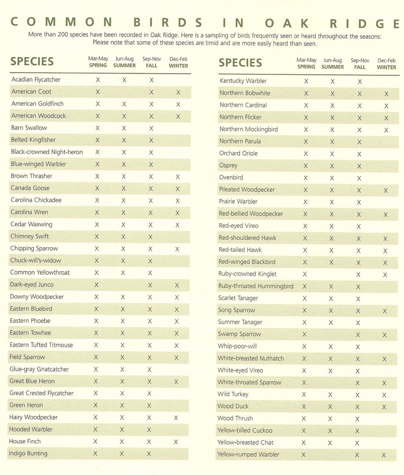 Animal Life: BIRDS LIFE