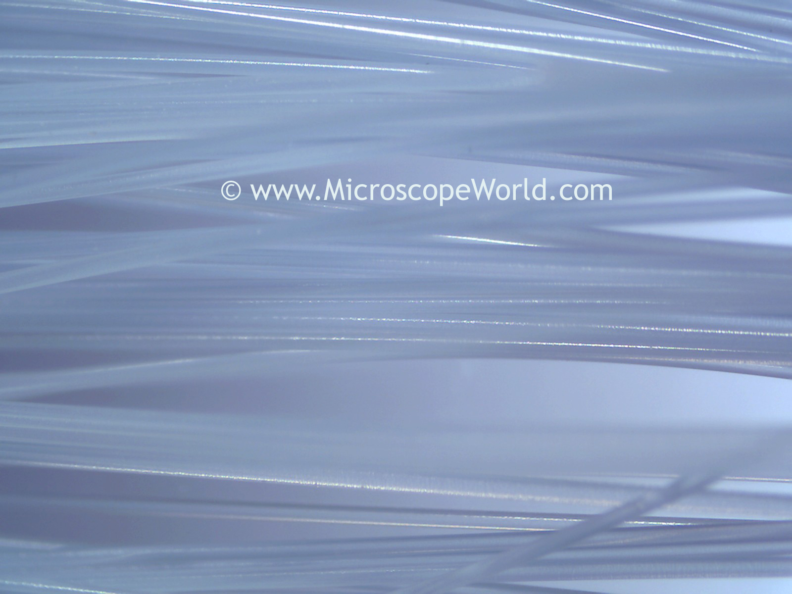 Microscope World Blog: Polymers Under the Microscope