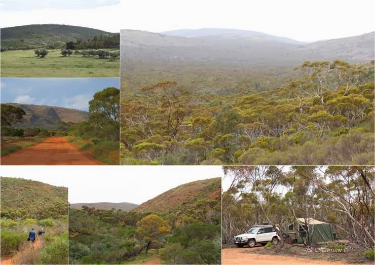 Life Images by Jill: Rock formations and wildflowers in the Gawler ...