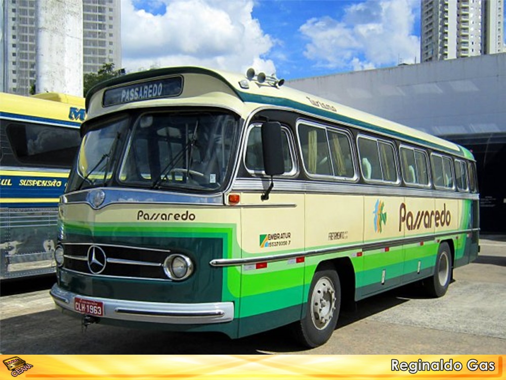 Conheça a Passaredo Transporte, de São Paulo