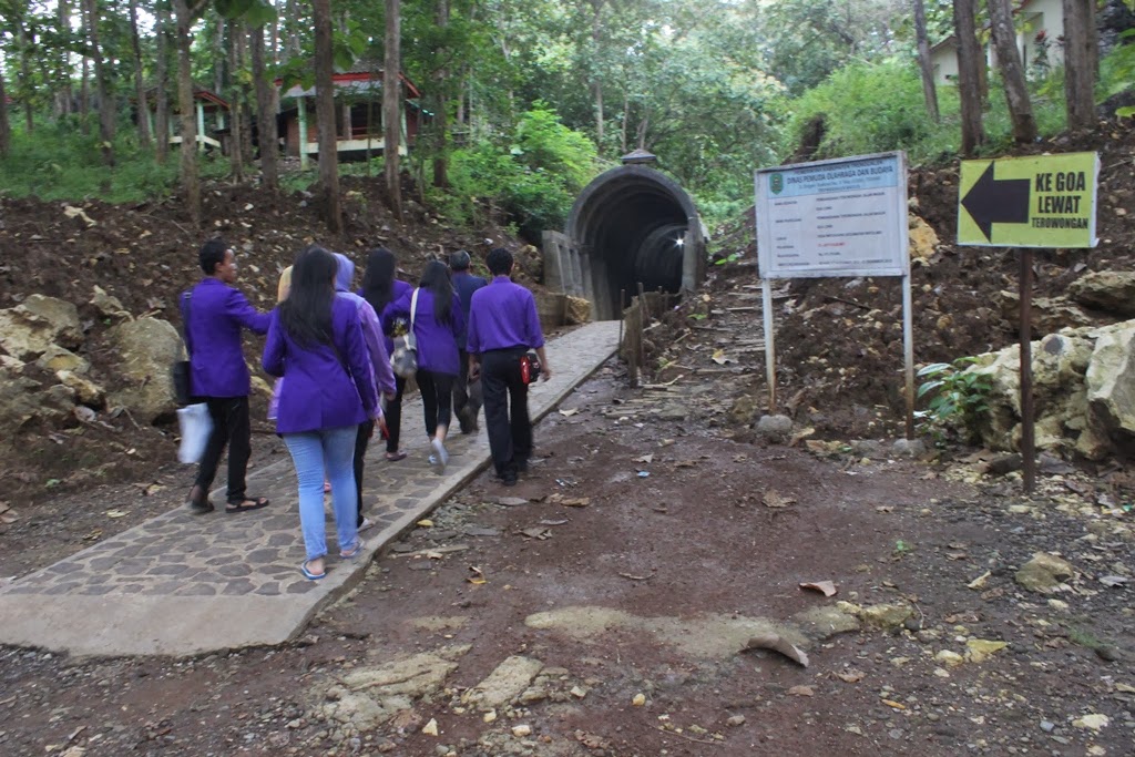 LOWO CAVE TRENGGALEK | My Trip My Adventure
