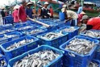 Fungsi Tempat Pelelangan Ikan