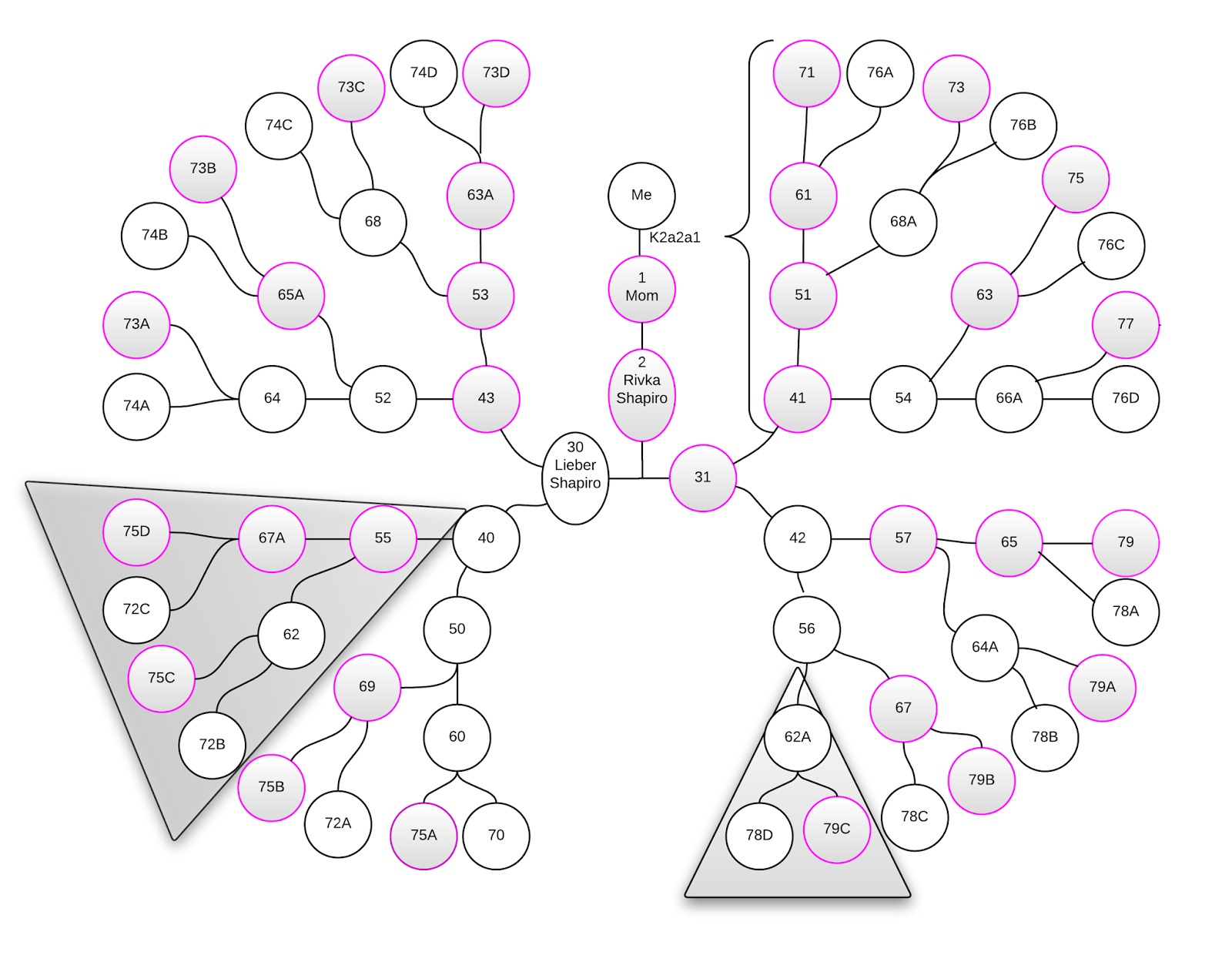 In memory of Riva, my beloved grandmother: Maternal Lineage