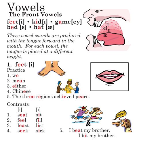 Was (Not Was) band name meaning - Band Naming