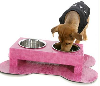 Superchick: Cosas para perros