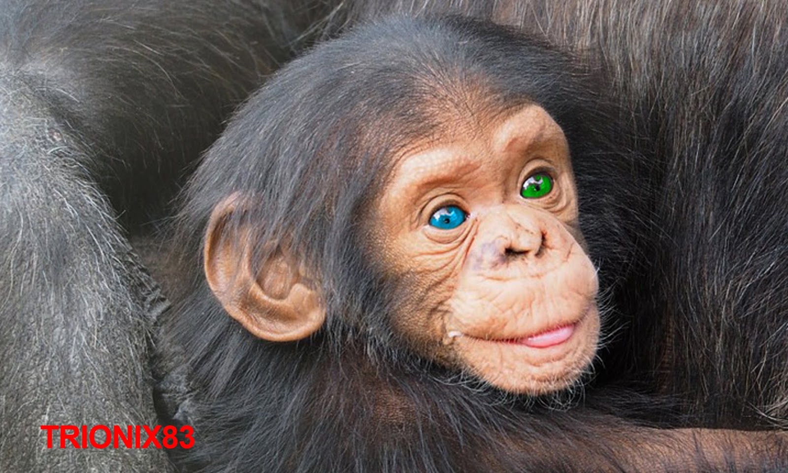 blogs janeth sagredo ramirez