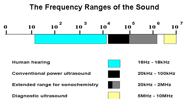 Science online: The types of the sound waves