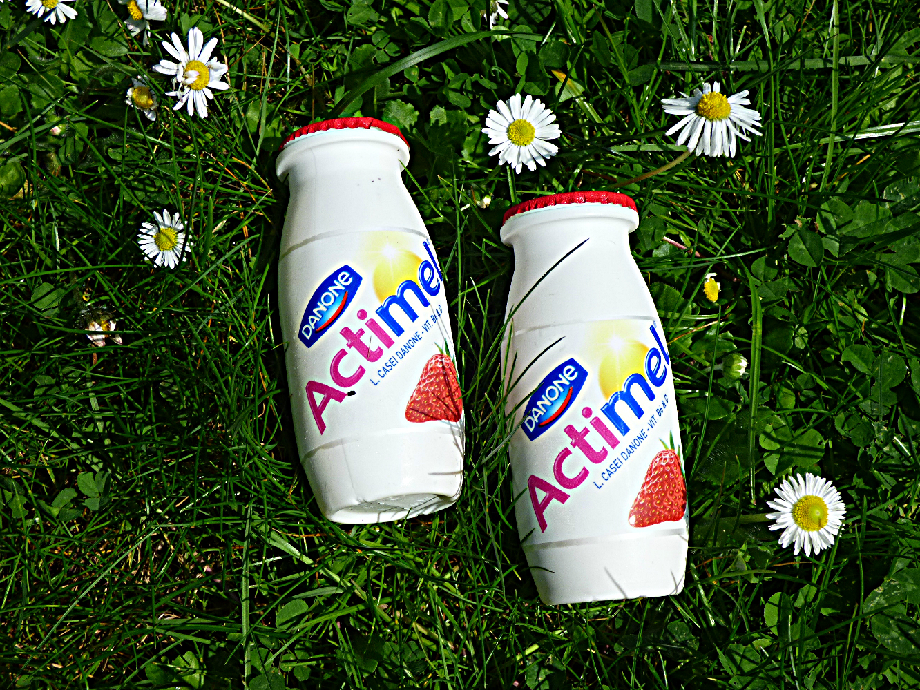 Chez Maximka: Actimel, Myleene Klass and hectic mornings