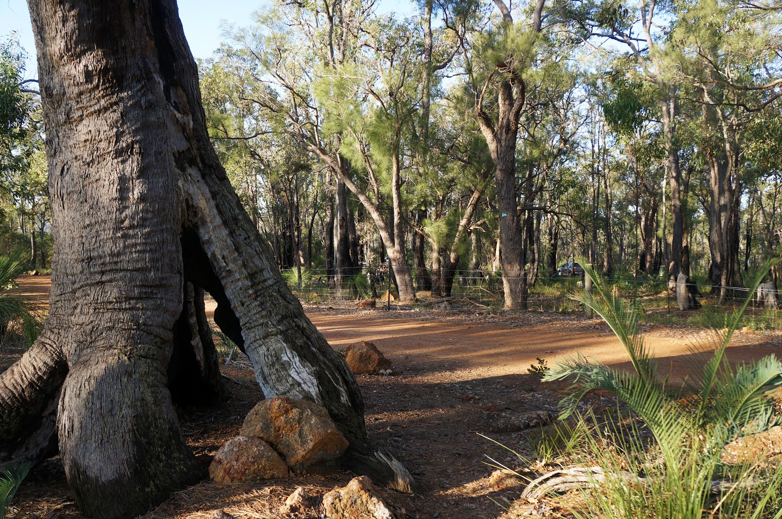 The Dell to South Ledge (Beelu National Park) ~ The Long Way's Better