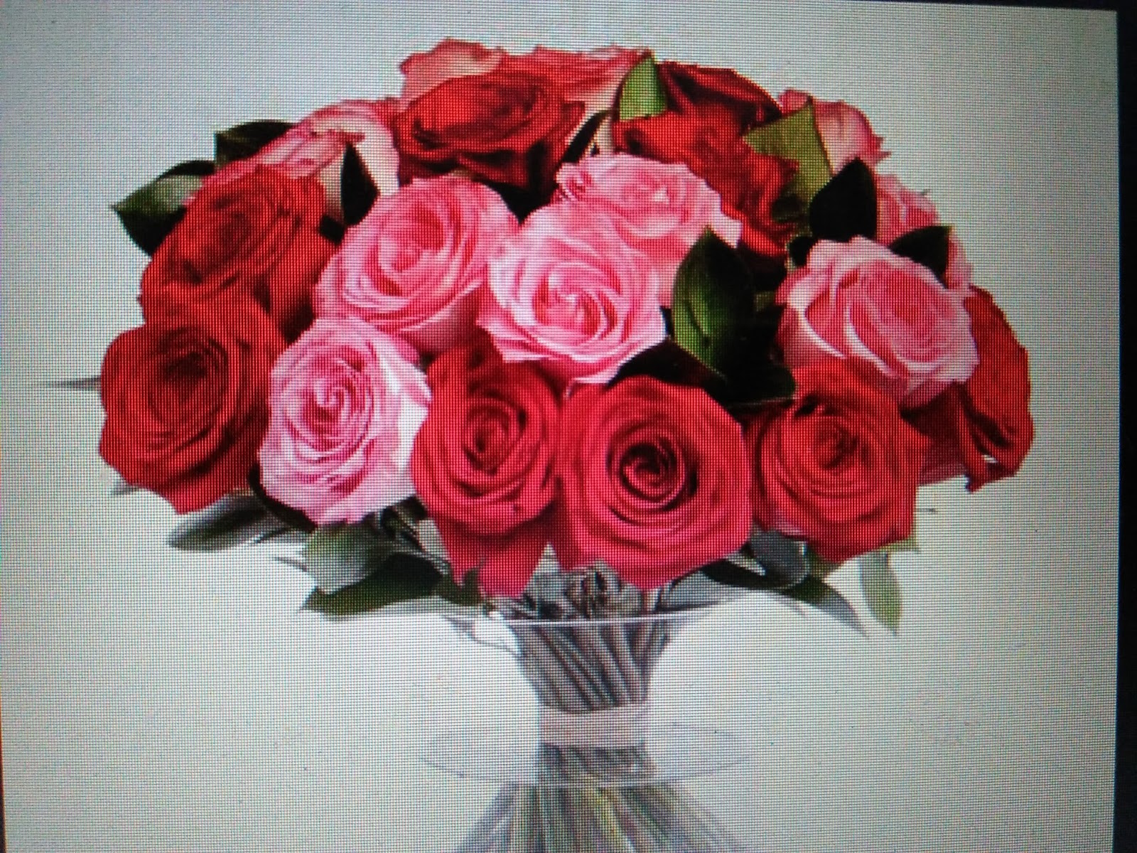 Fuziah Sulaiman blog: Jom kenali BUNGA MAWAR - ROS di Laman WOFA ...