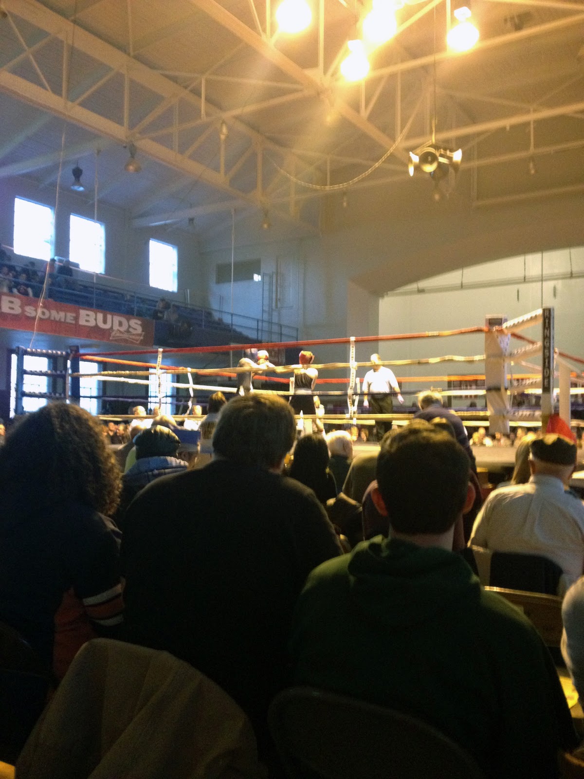Felicity Defined: 2013 Indiana Golden Gloves Tournament