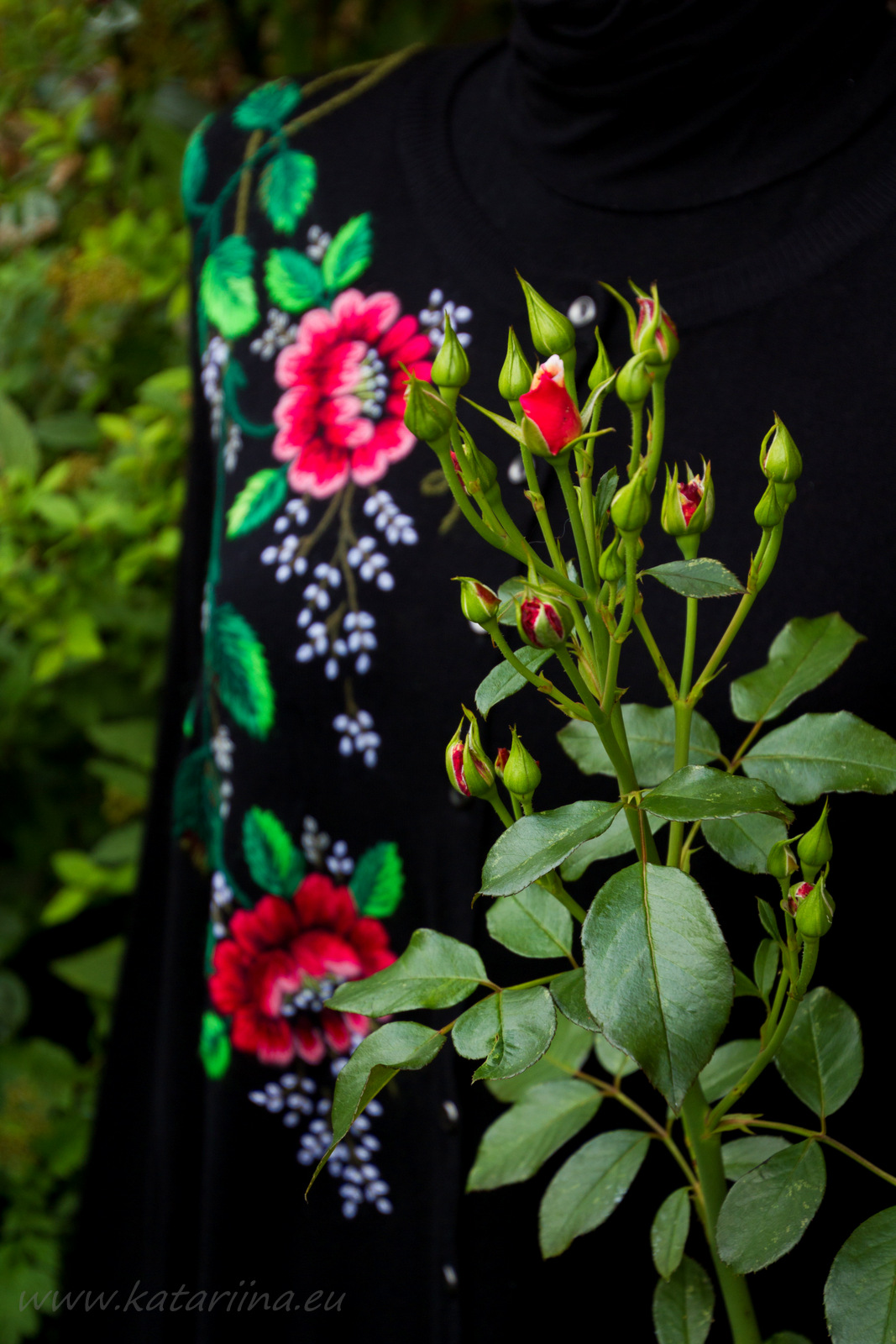 Katariina kudugurmee: Punased roosid.